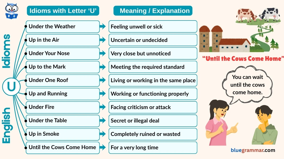 Idioms Starting with Letter U (Meanings and Examples) - Blue Grammar